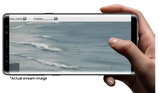 SURFIT Cams – shop.SURFit.com